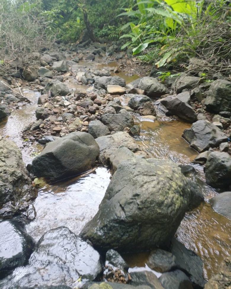 Chinchoti Waterfall Trek – A Philomath’s Journal