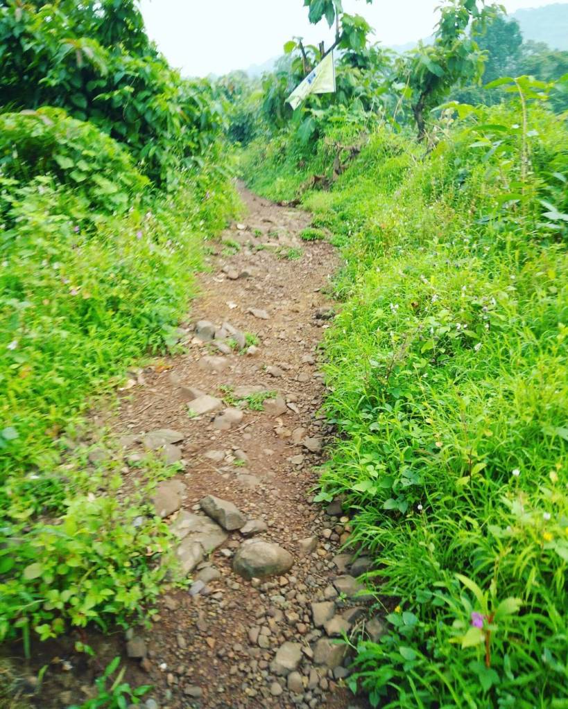 Chinchoti Waterfall Trek – A Philomath’s Journal