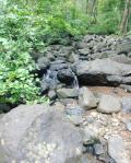 Chinchoti Waterfall Trek – A Philomath’s Journal