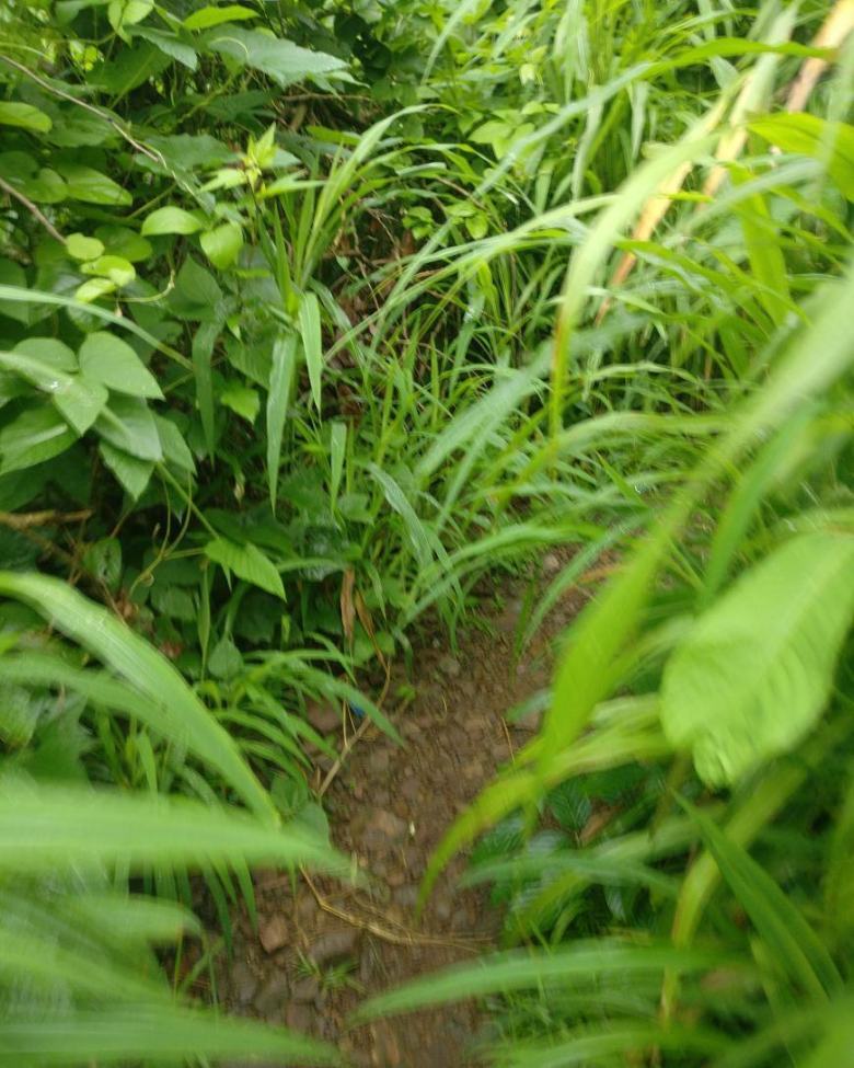 Chinchoti Waterfall Trek – A Philomath’s Journal